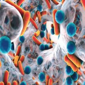 Vesta-Syde® SQ – Santislabco